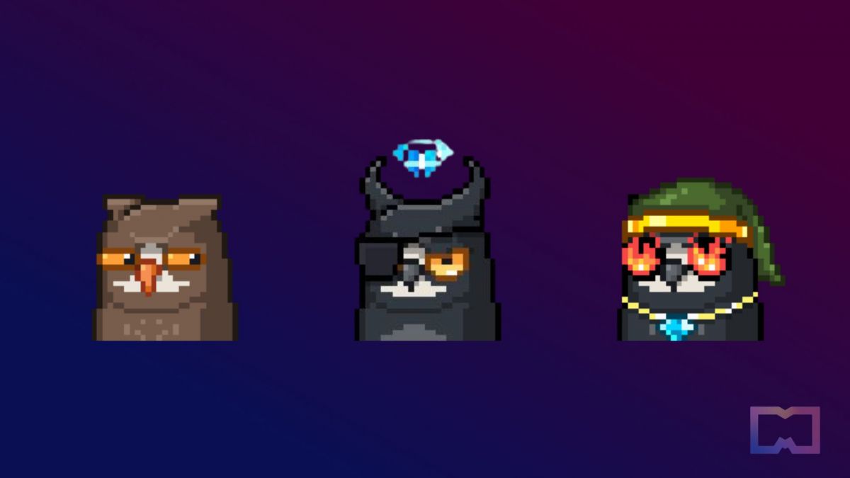 10 Most Promising Bitcoin NFT Ordinals Collection in 2023