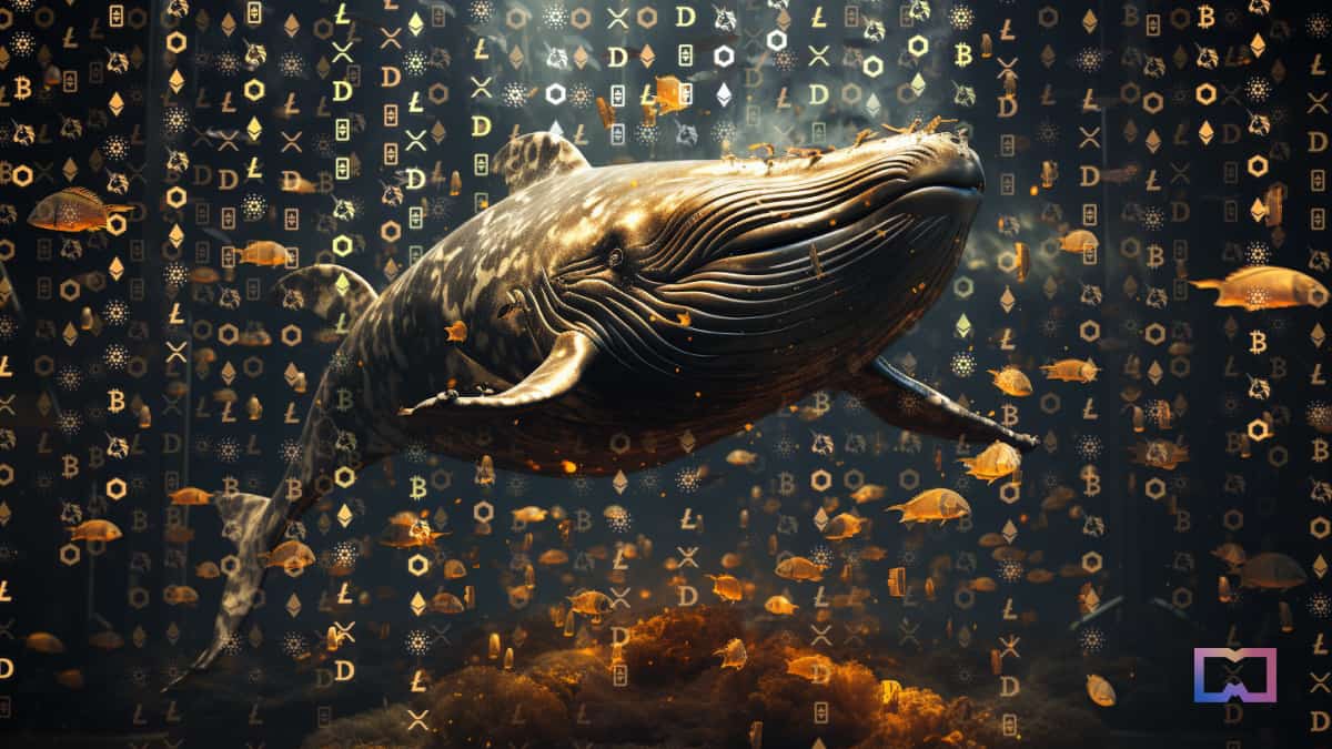 Ethereum Whale Offloads $41 Million ETH Prior to Crypto Market Dump | Metaverse Post