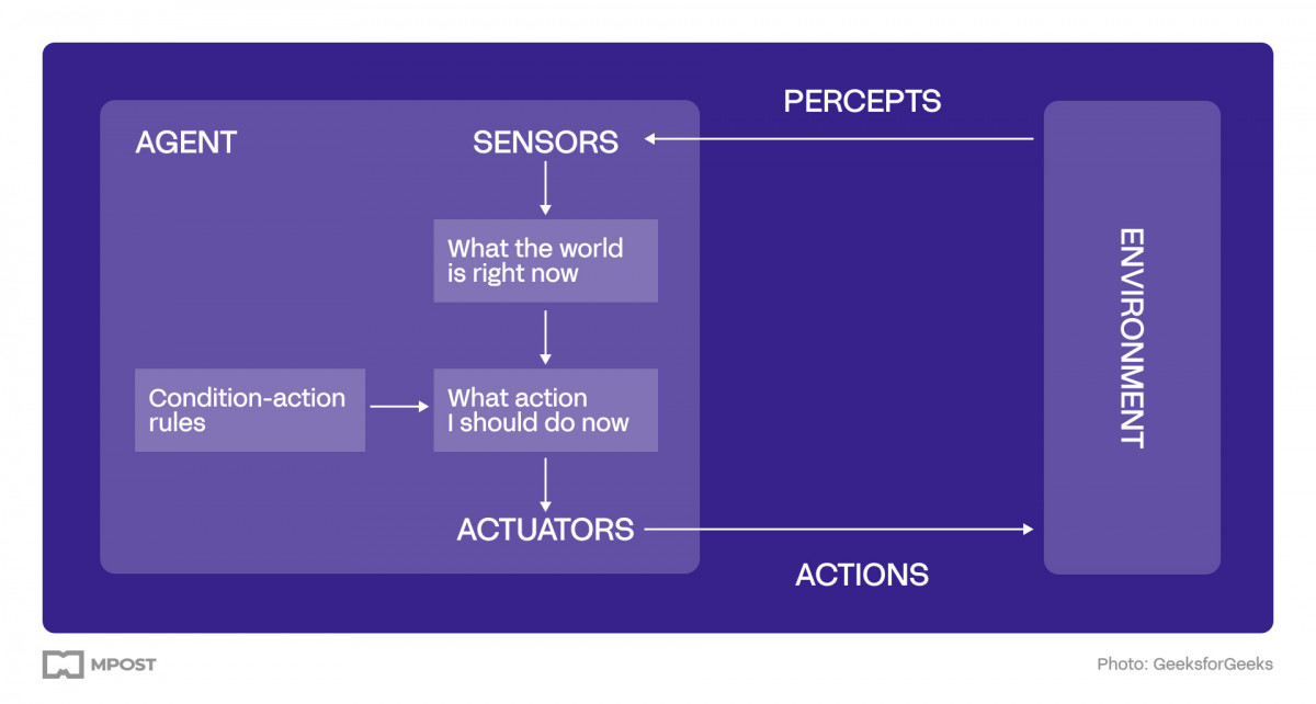 NEAR Protocol Unveils Ambitious AI Initiative to Change dApp ...