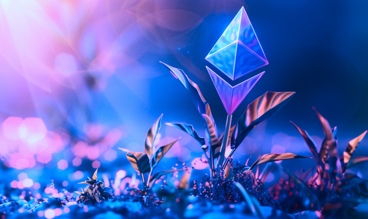 Mint Initiates Mint Expedition Event, Allocating 12% Of Total MINT ...