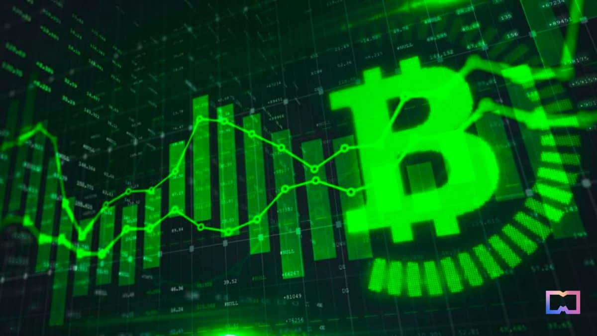 Surge in High-Value Bitcoin Wallets: Over 15,000 Now Hold 100+ BTC ...