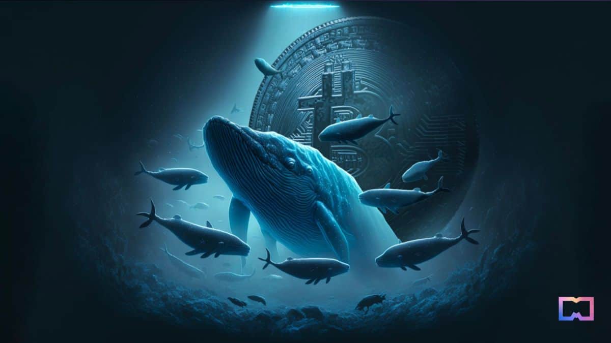 Crypto Whales are Rapidly Selling ETH, BTC and Other Assets | Metaverse Post