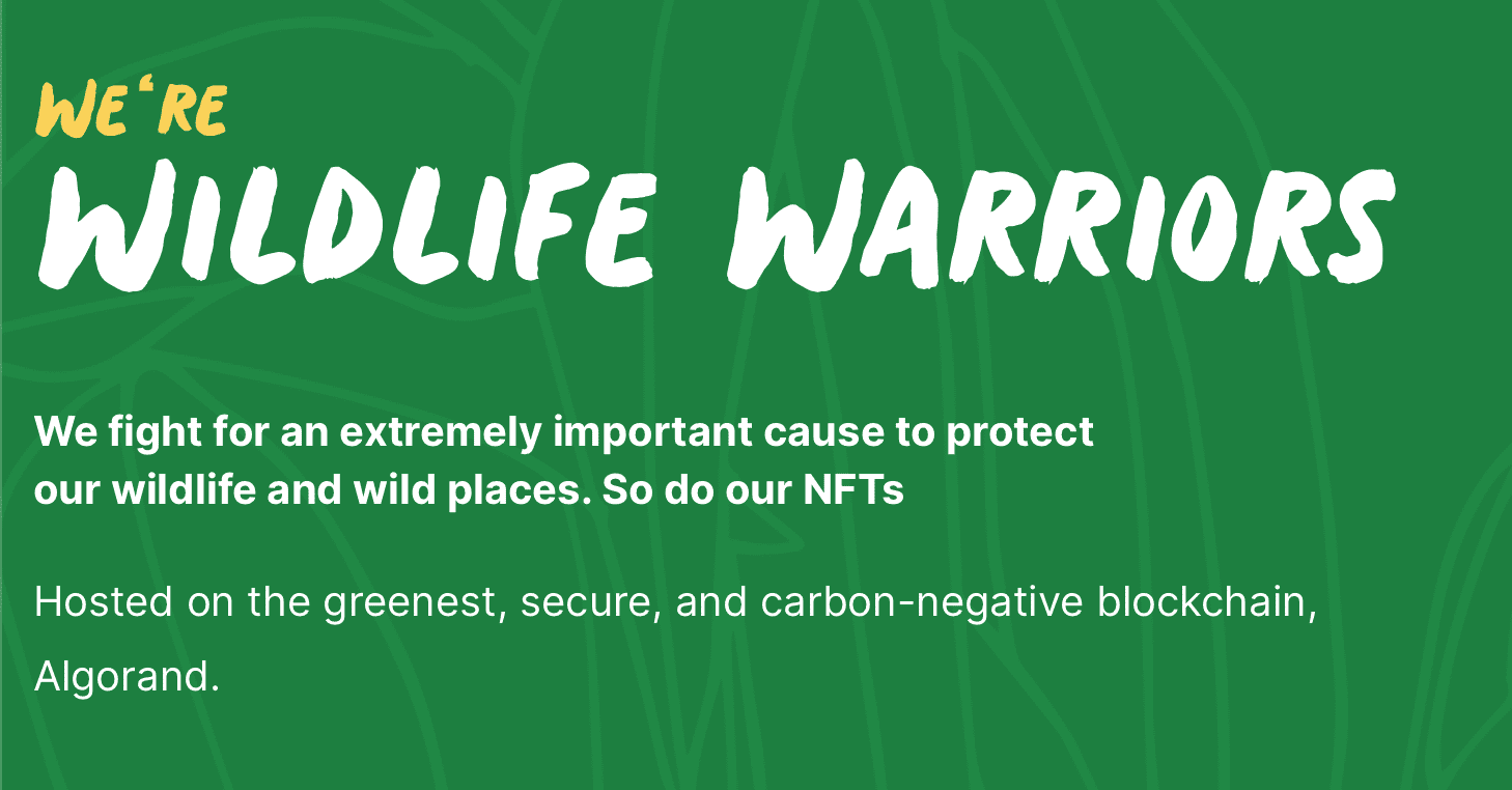 Australian Zoo launches an NFT collection to support wildlife ...