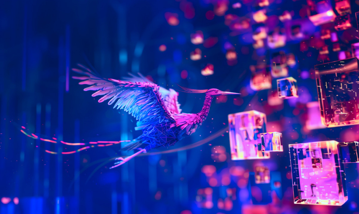 XION And TOKI Announce Launch Of Chain Abstraction Created for BNB ... XION And TOKI Announce Launch Of Chain Abstraction Created for BNB ...