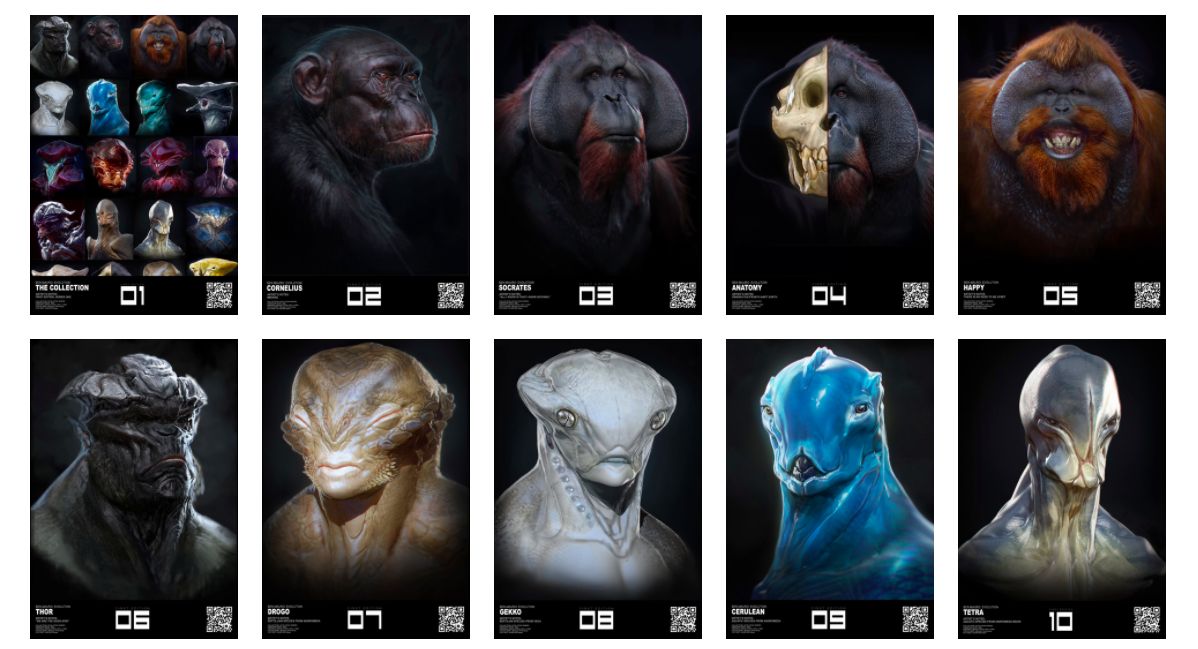 Top 10 Flow NFT Collections of the Year | Metaverse Post