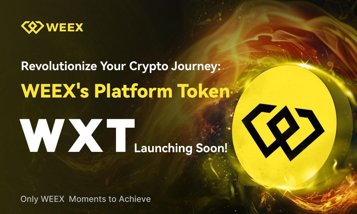 WEEX Exchange Unveils WXT Token to Enhance Ecosystem and Reward Community Engagement | Metaverse ...