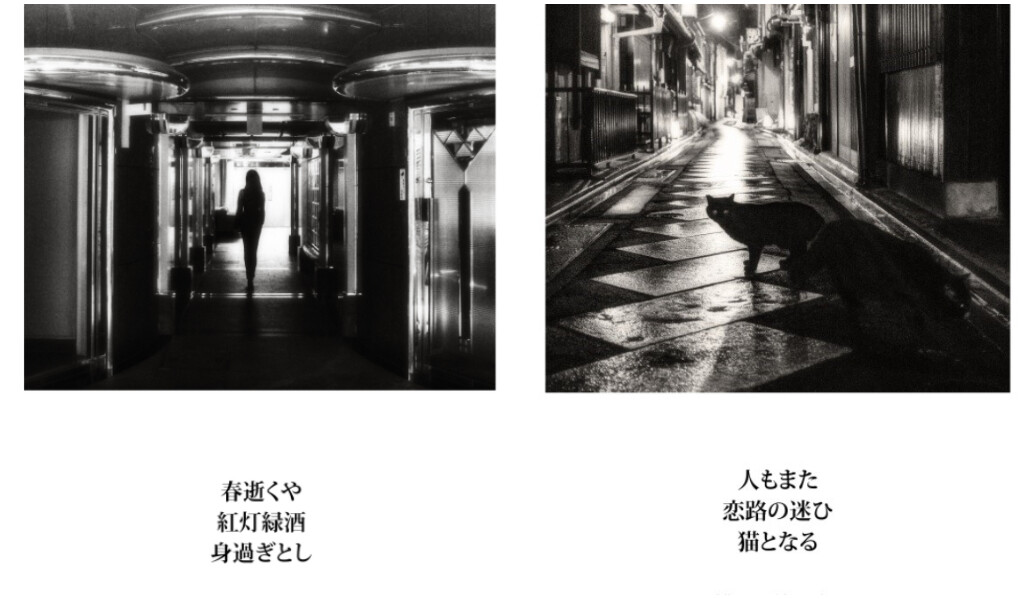 New NFT collection explores photography and poetry | Metaverse Post